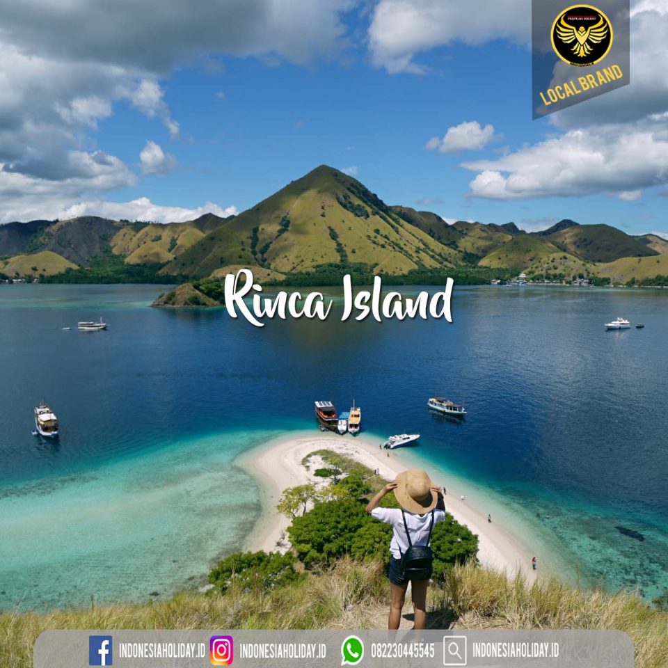 Rinca Island - Indonesia Tour Package Specialist | Indonesia Holiday ...